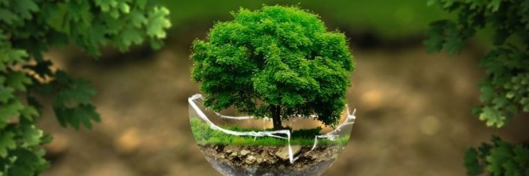 Beck and Call Meaning: Definition, Origin & Everyday Use