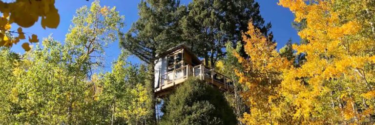 Best Treehouse Rentals in Colorado to Stay - Holiday Vacation Guide