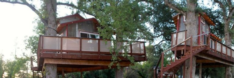 Best Treehouse Rentals in Northern California to Stay